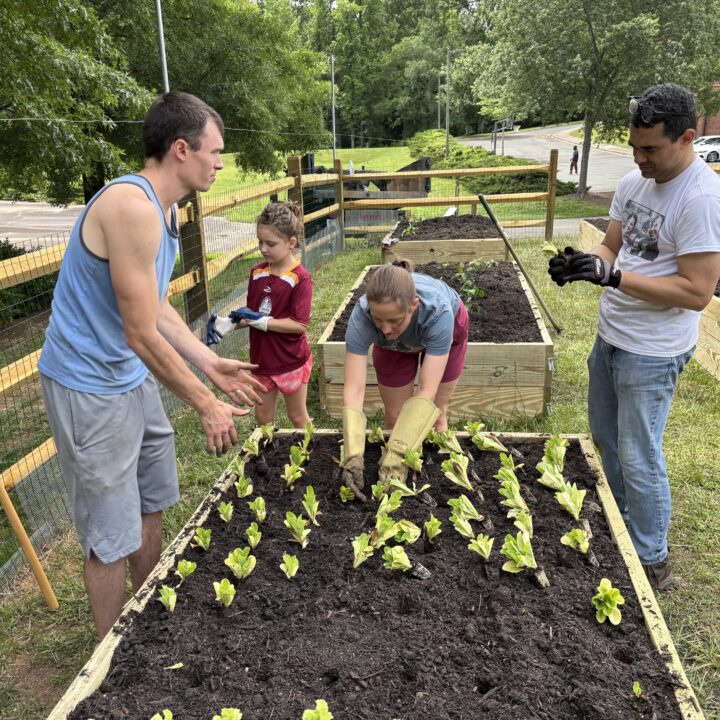 Community Garden – The Church of the Good Shepherd